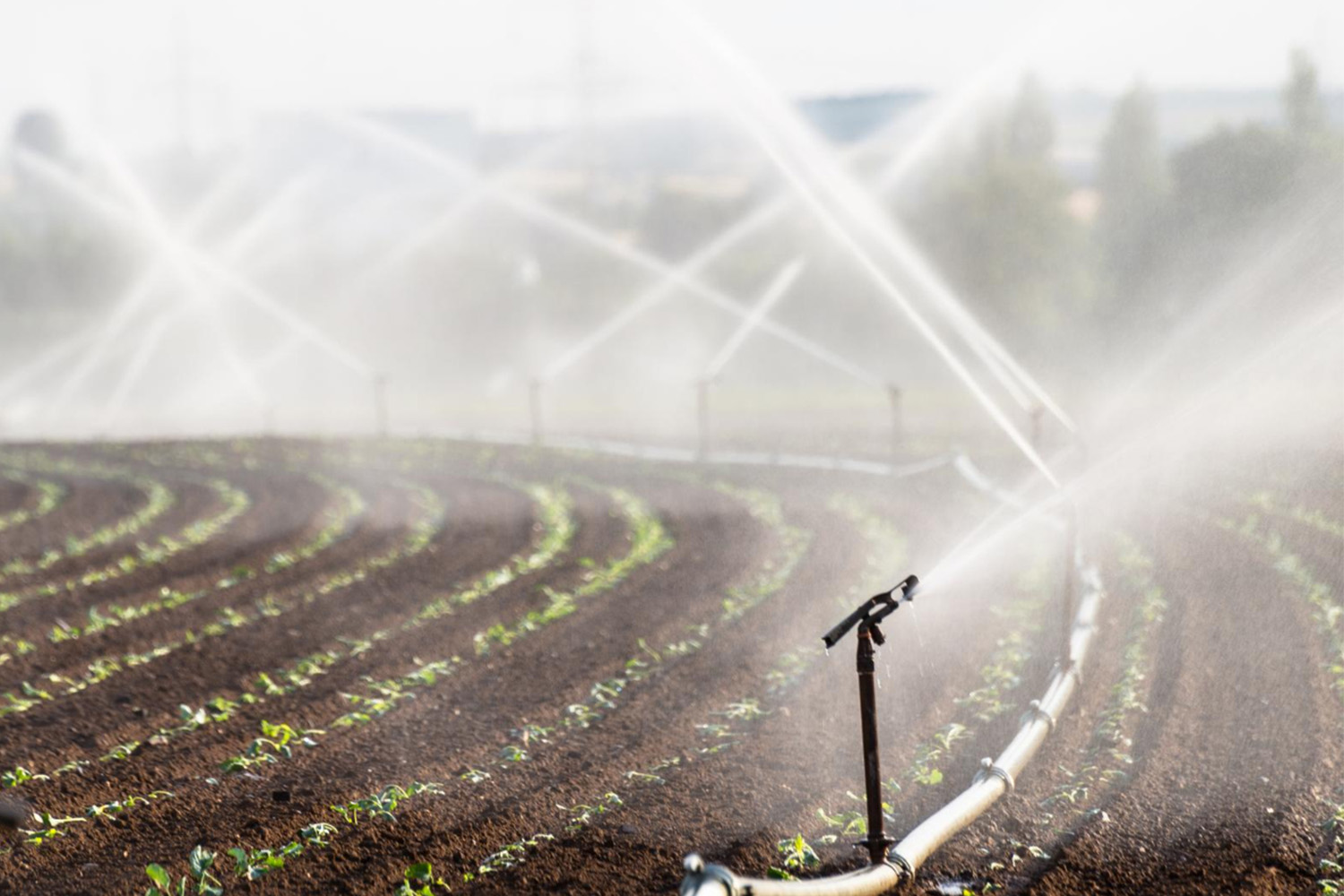 Rainfall Forecasting (TH) - STelligence